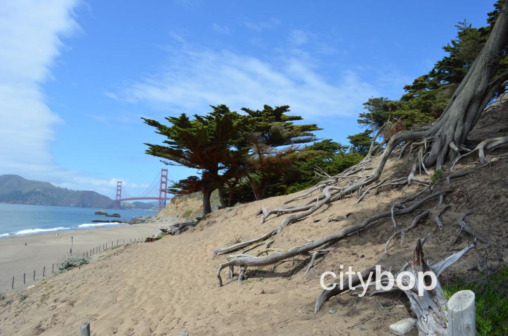 Baker Beach (San Francisco) - BEST Things To See - CityBOP