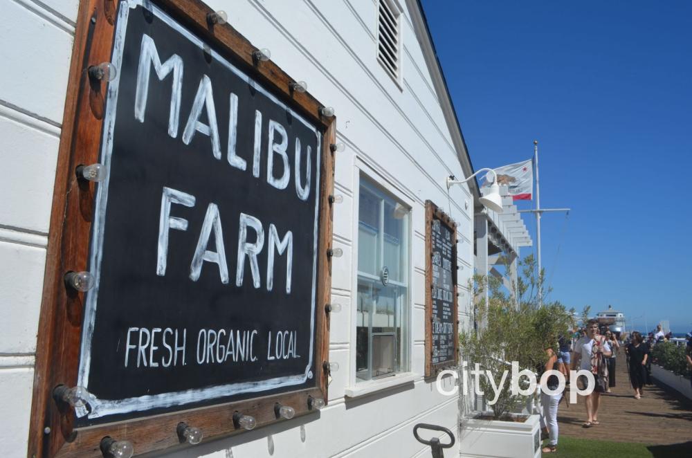 5 BEST Things to Do at Malibu Country Mart
