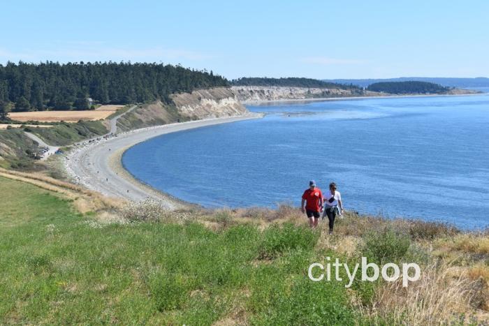 5 BEST Things to Do at Ebey's Landing (Whidbey Island)