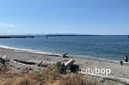 10 BEST Things to Do at Discovery Park Seattle - CityBOP