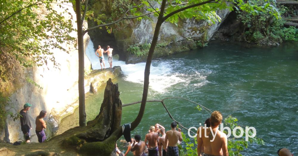 5 BEST Things to Do at Whatcom Falls Park