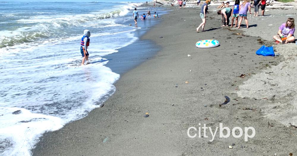 10 BEST Things to do at Fort Ebey State Park
