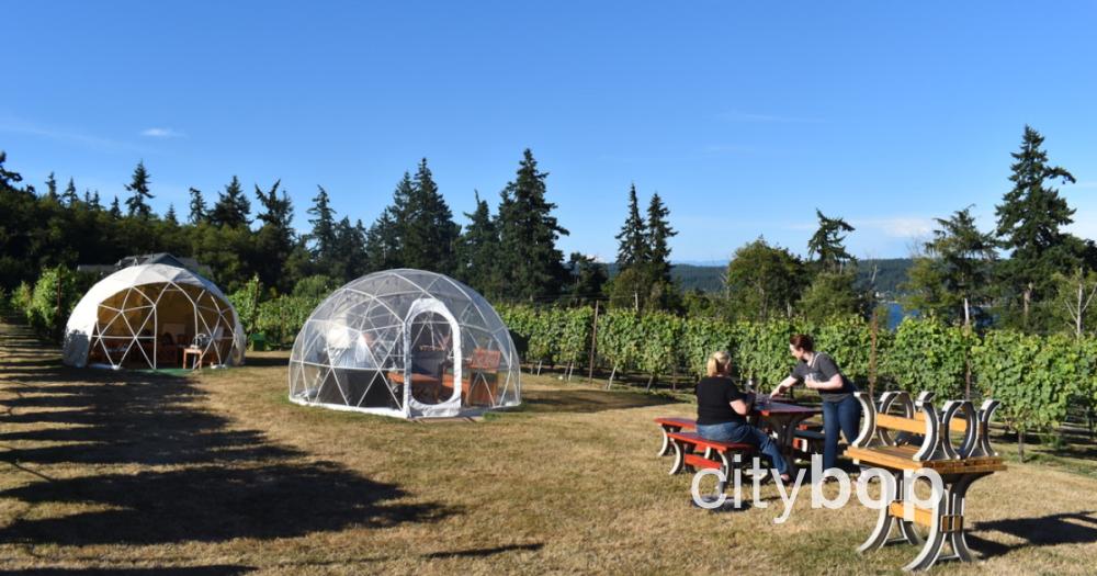 5 BEST Things to Do at Greenbank WA