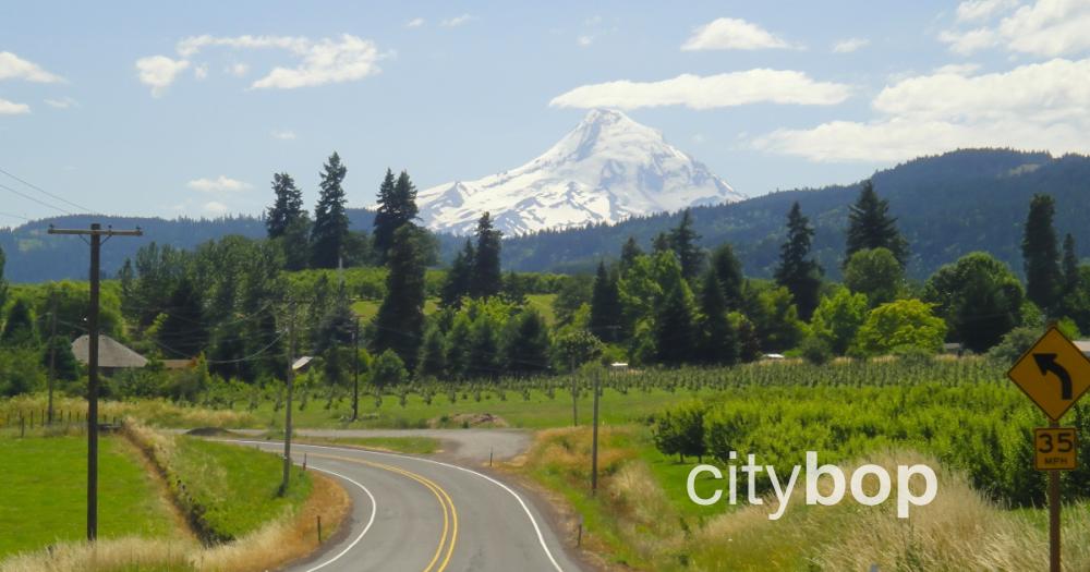 5 BEST Things to Do at Hood River Fruit Loop