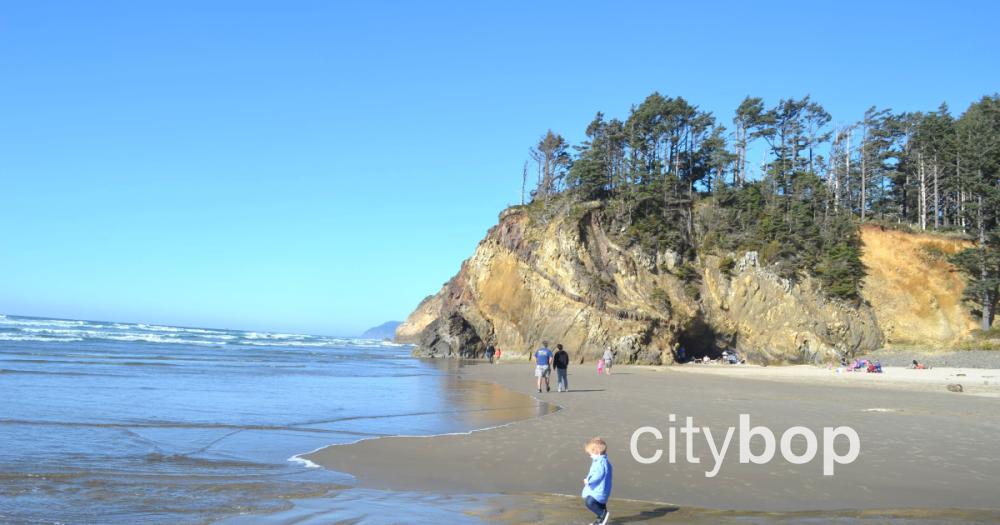 5 BEST Things to Do at Hug Point Oregon