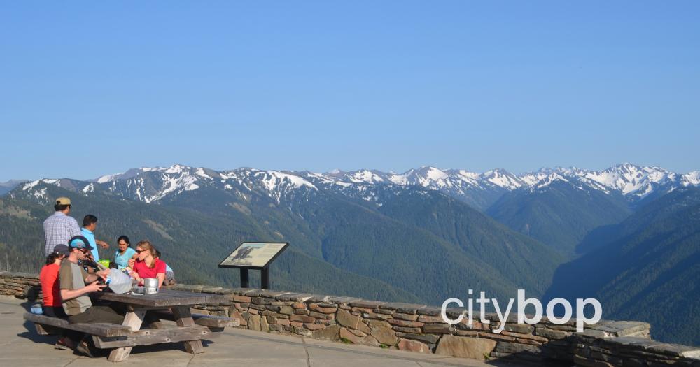 10 BEST Things to Do at Hurricane Ridge