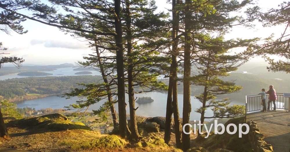 5 BEST Things to Do at Mount Erie (WA)