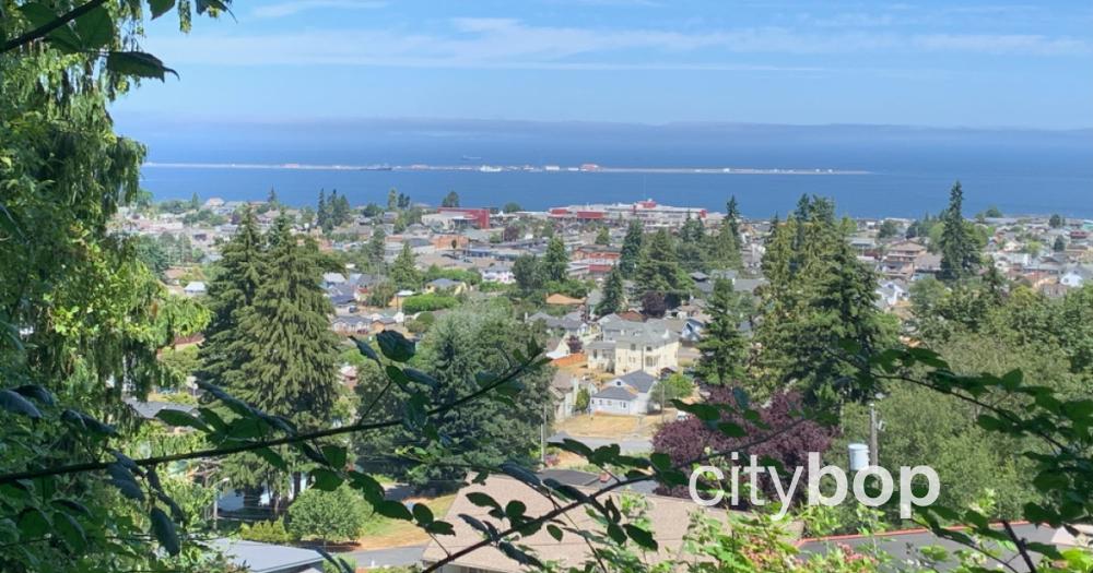 5 BEST Things to Do at Ediz Hook