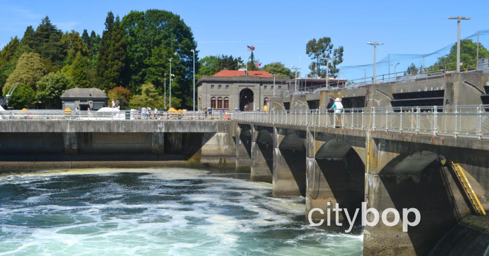 10 BEST Things at Ballard Locks - Free Entry, Salmon Viewing, History