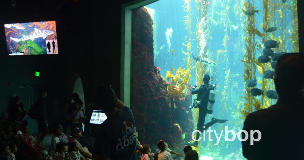 10 BEST Attractions at FREE California Science Center