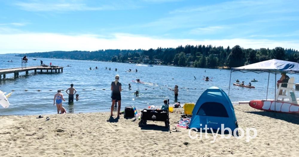 5 BEST Things to do at Enatai Beach Park