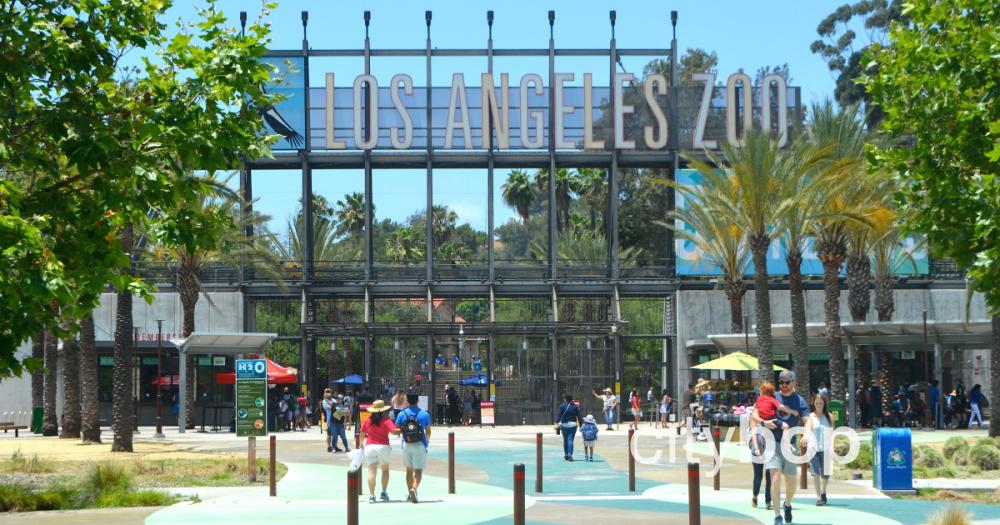 5 BEST Things to Do at LA Zoo - CityBOP