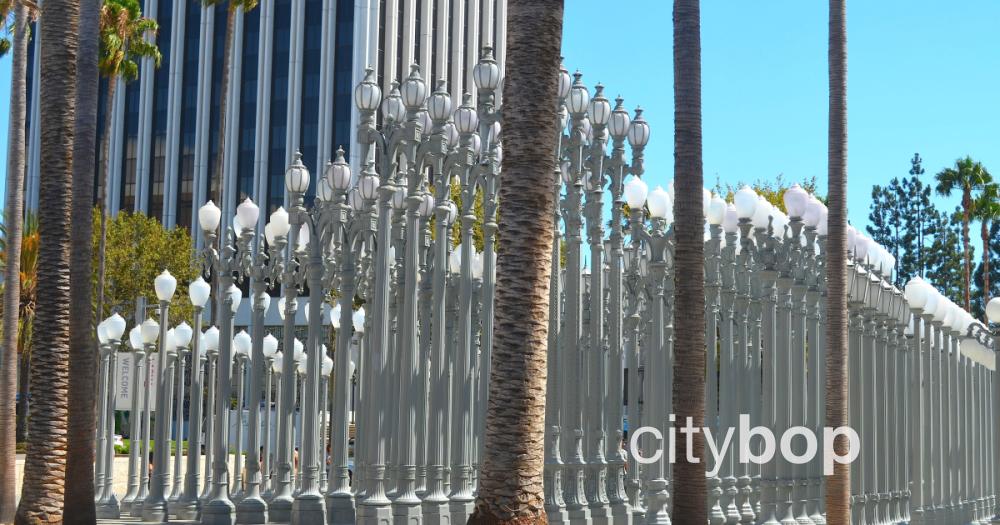 10 BEST Things To Do at LACMA - CityBOP
