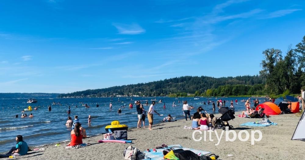 5 BEST Things to do at Sunset Beach Lake Sammamish