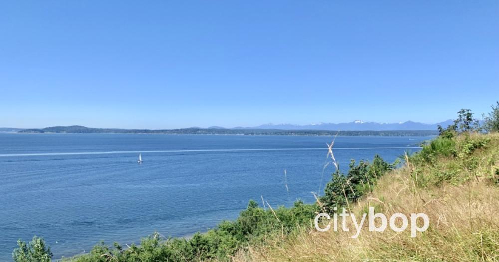 Magnolia Boulevard - BEST Viewpoint in Seattle!