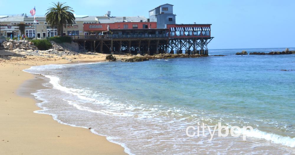 5 BEST Things about McAbee Beach