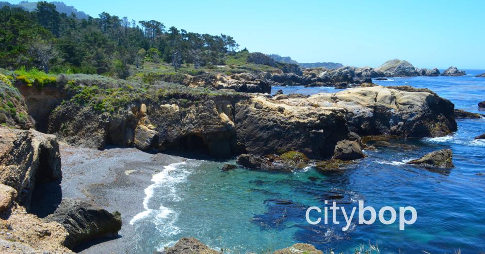 5 BEST Things to Do at Point Lobos