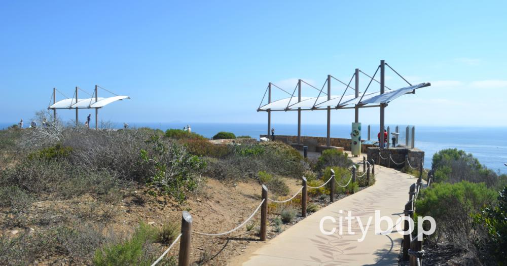 5 BEST Things at Point Loma Whale Overlook