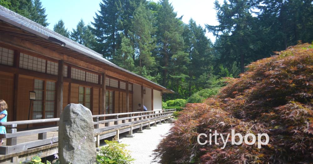 10 BEST Things to Do at Portland Japanese Garden - CityBOP