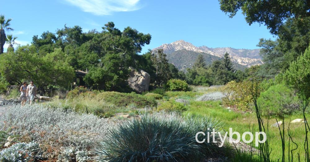 10 BEST Attractions at Santa Barbara Botanic Garden - CityBOP