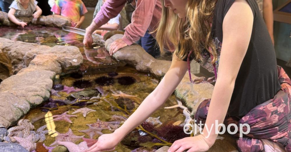 10 BEST Attractions at Santa Barbara Sea Center