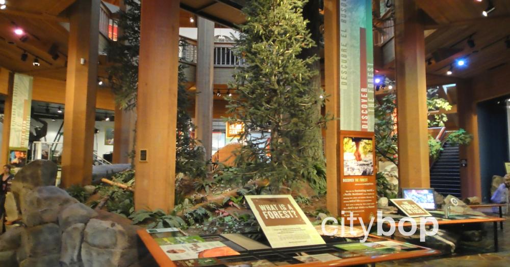 10 BEST Things about World Forestry Center - CityBOP